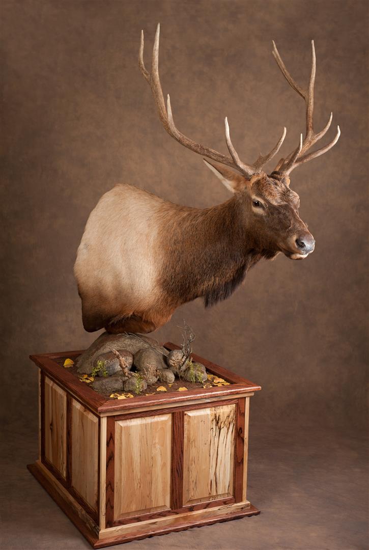 Raised Panel Base - 14 – Custom Hardwood Plaque